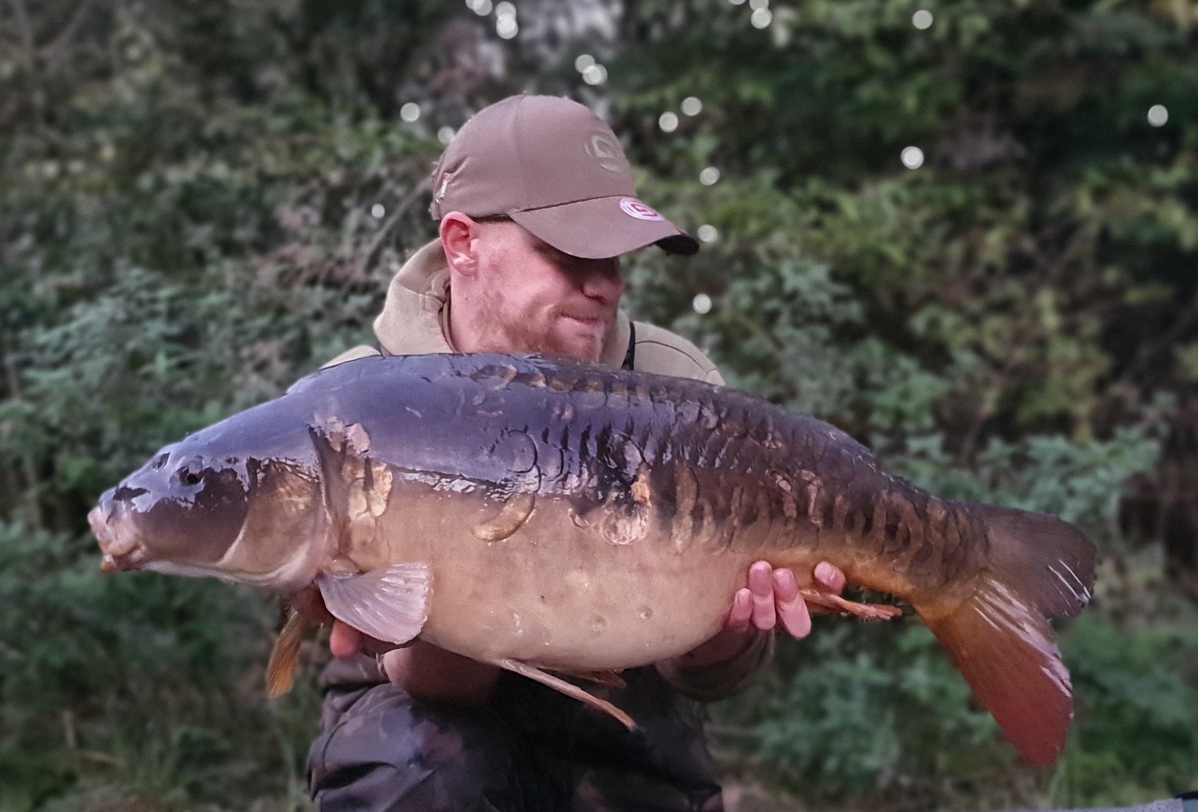 That old warrior | Total Carp